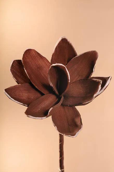 Paramit Aranžovací květina hnědá 18 cm