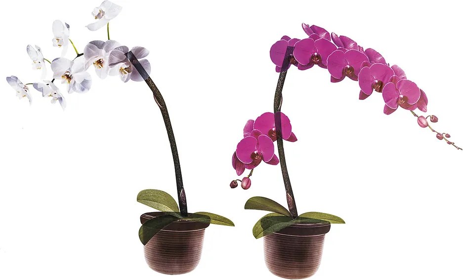 Samolepicí dekorace Orchidea