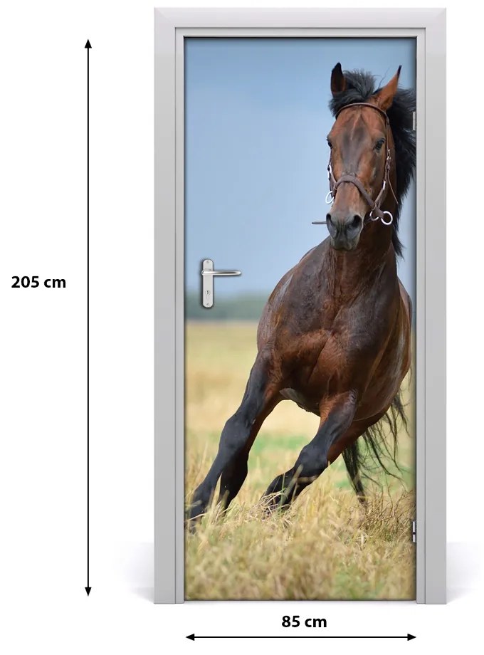 Samolepící fototapeta na dveře Kůň na poli 85x205 cm