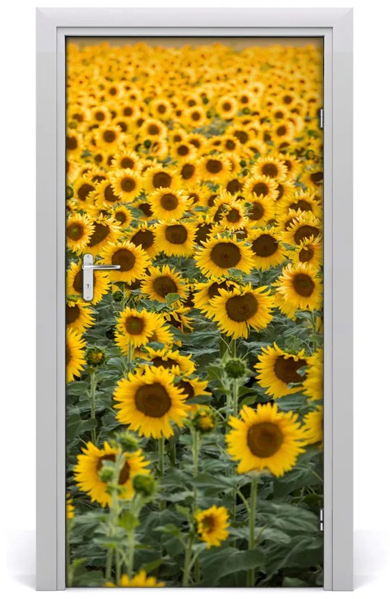 Fototapeta samolepící dveře Pole slunečníků 85x205 cm