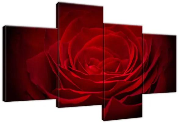 Tištěný obraz Růže pro lásku 120x70cm 2394A_4Z