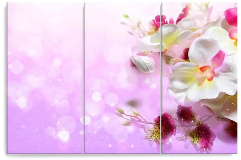 Malvis ® Vícedílný obraz - Orchidej fantazie Velikost: 120x80 cm