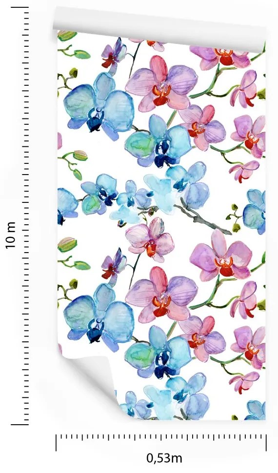 Tapeta Na Zeď Pro Salon Orchideje Květiny Přírodní Orchideje Vliesová tapeta 53x1000