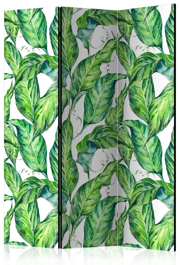 Paraván - Long Leaves [Room Dividers] 135x172