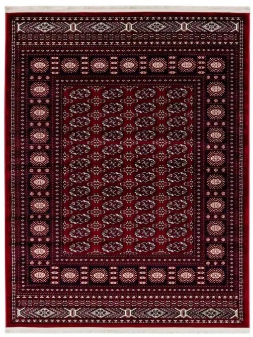Kusový koberec Hayat 303 red Varianta: 200x290 cm