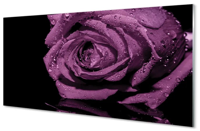 akrylový obraz Purpurová růže 140x70 cm