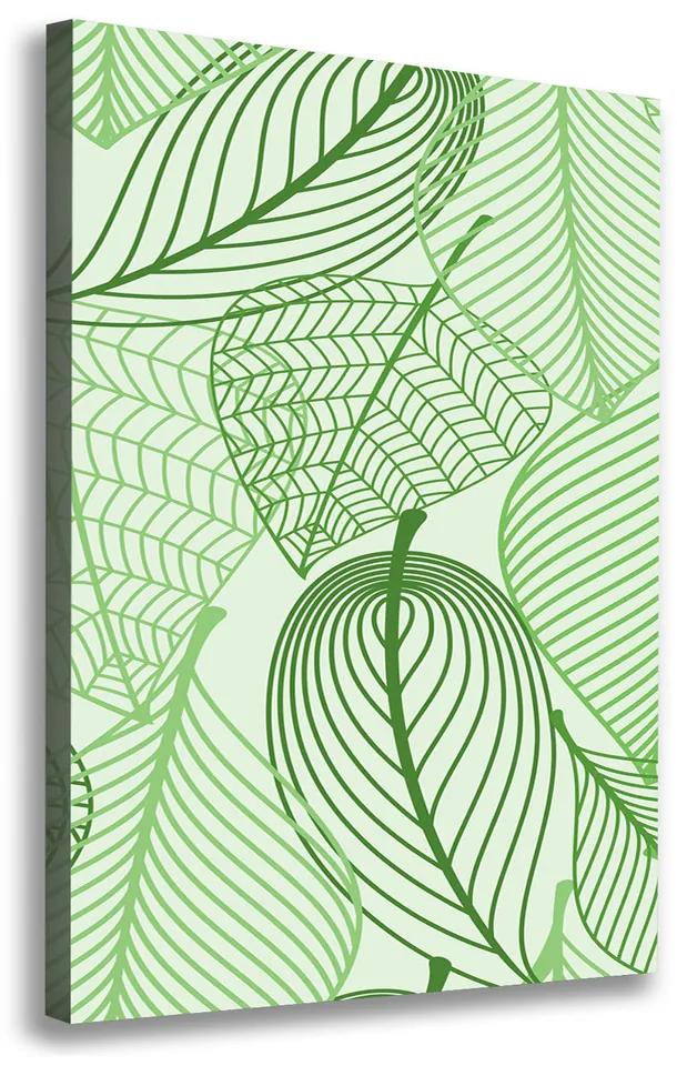 Wallmuralia Foto-obraz canvas do obýváku Zelené listí 70x100 cm