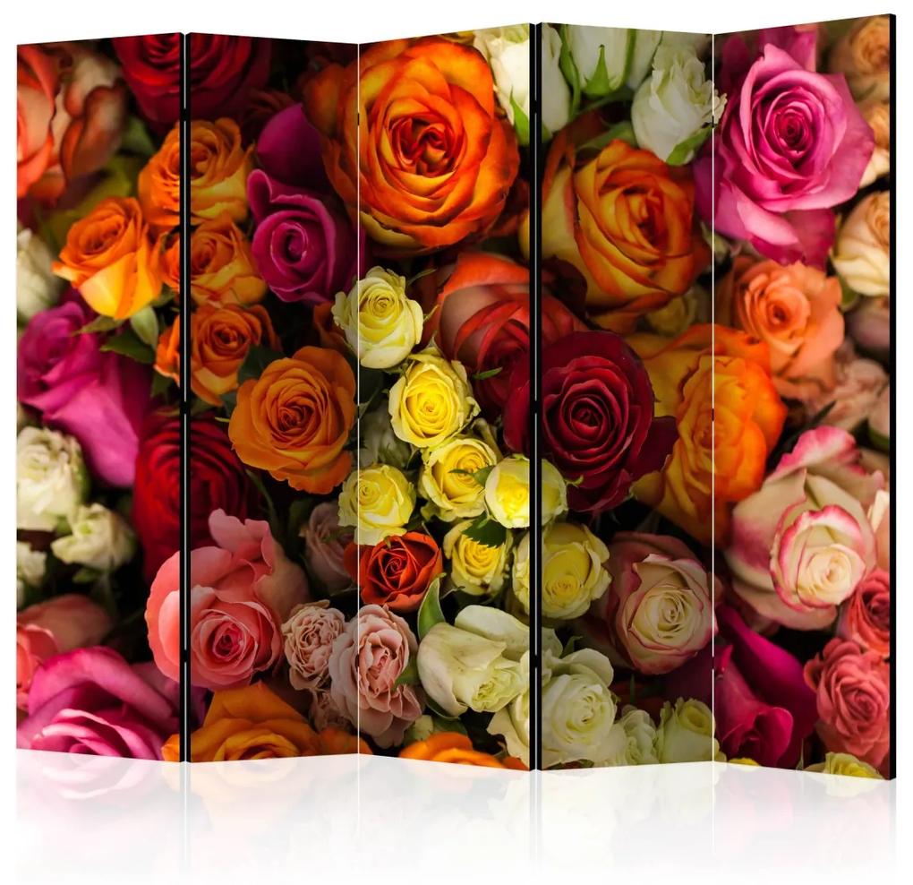 Paraván barevné růže Velikost (šířka x výška): 225x172 cm