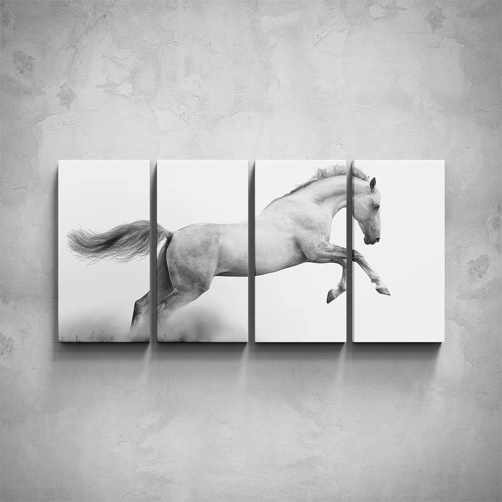 4-dílný obraz - Kůň ve skoku - PopyDesign