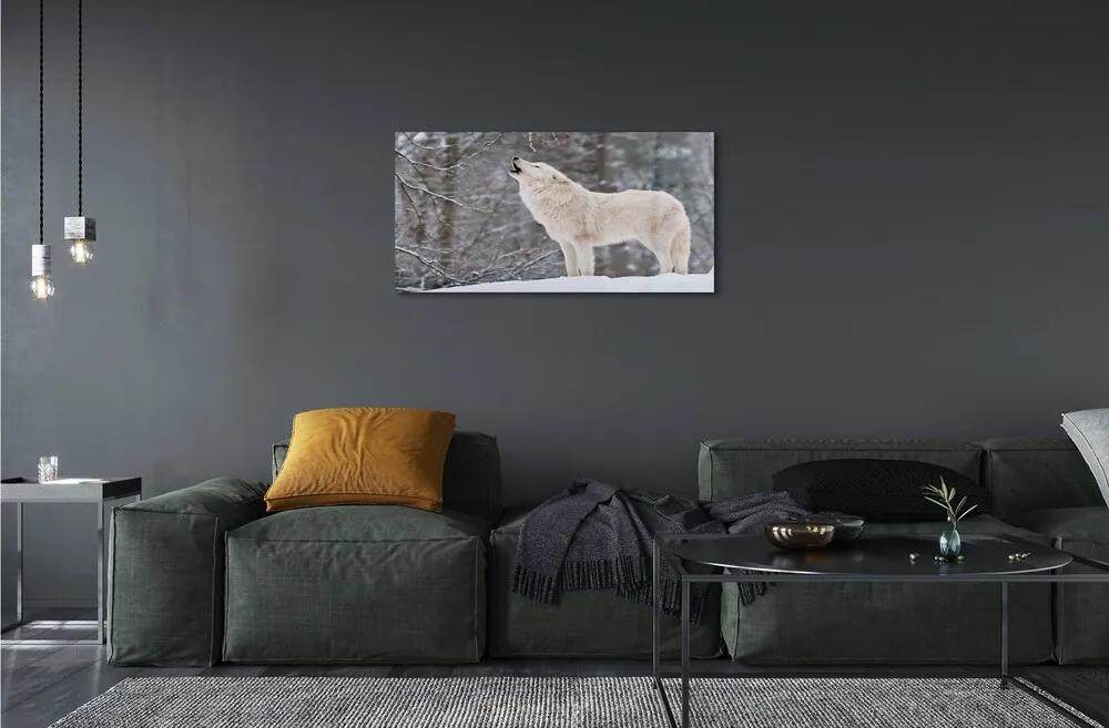 Obraz na skle Vlk v zimě lese 100x50 cm