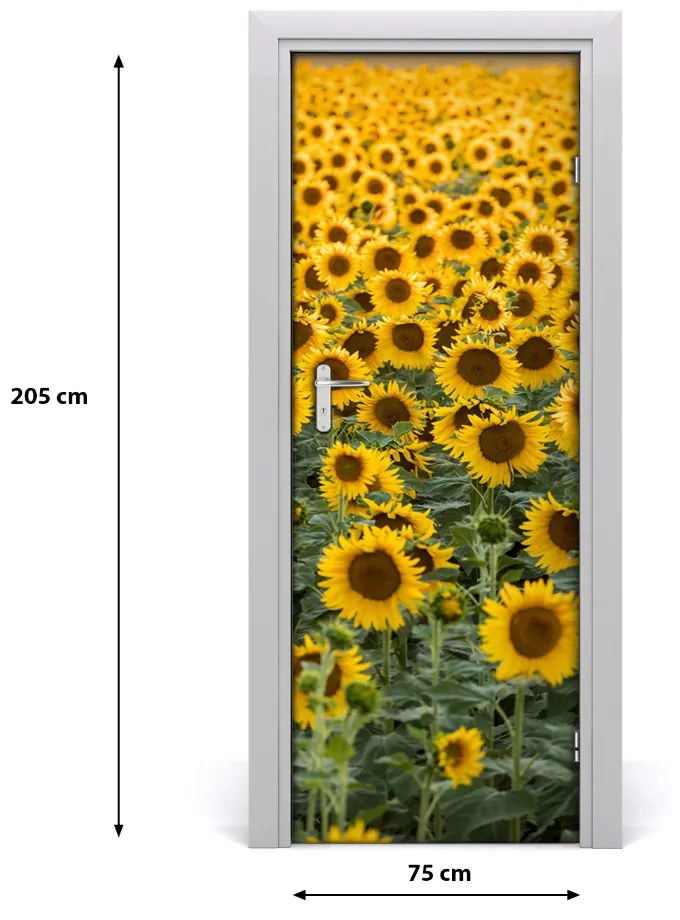 Fototapeta samolepící dveře Pole slunečníků 75x205 cm