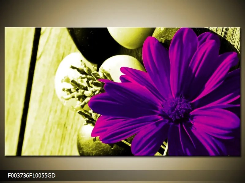 Obraz fialového květu na zelených kamenech  (), 40 dalších rozměrů