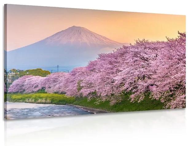 Obraz japonska sopka Fuji Varianta: 60x40