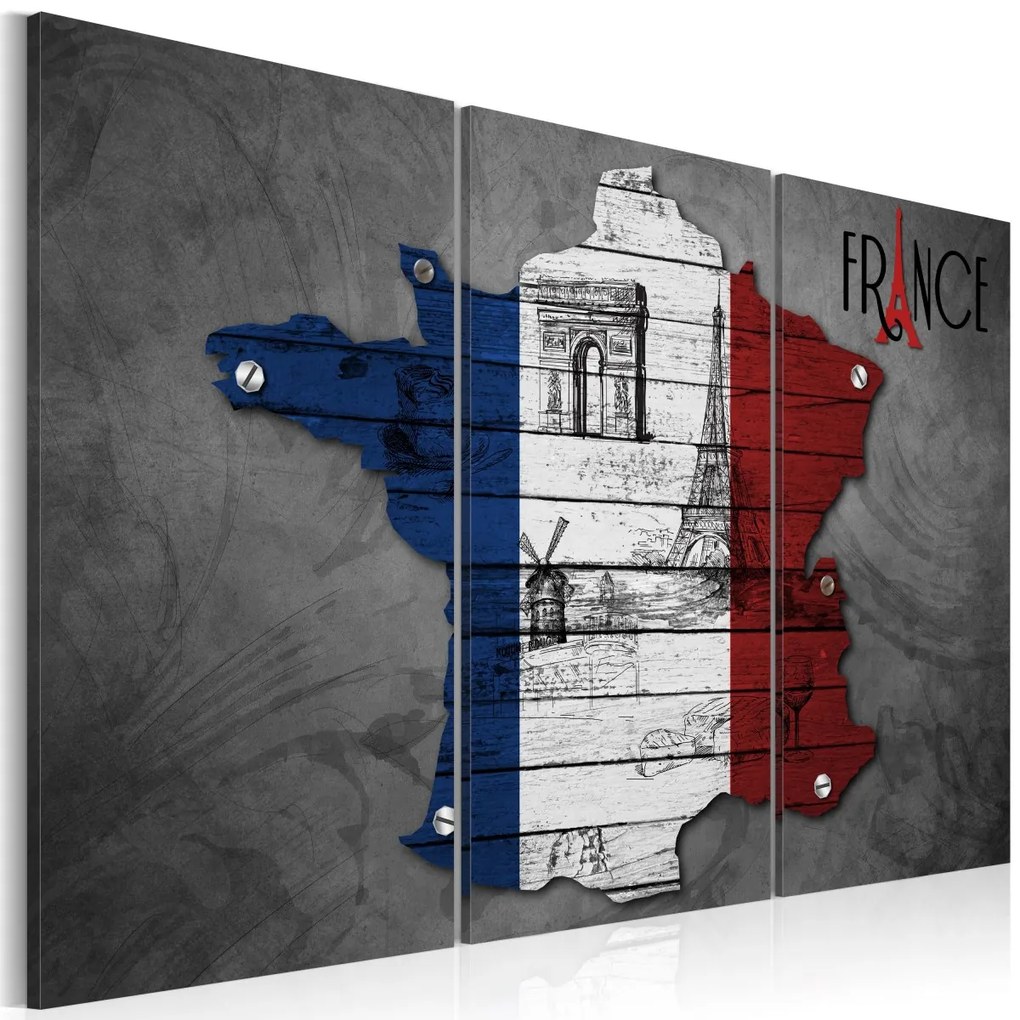 Obraz - Symbols of France - triptych - 120x80