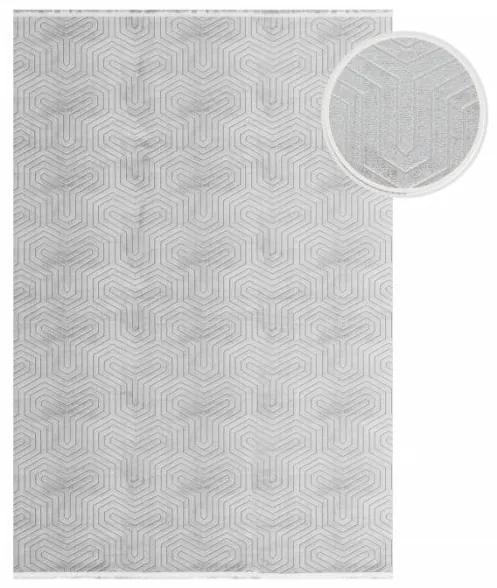 Vopi | Kusový koberec Style 8901 silver - 120 x 170 cm