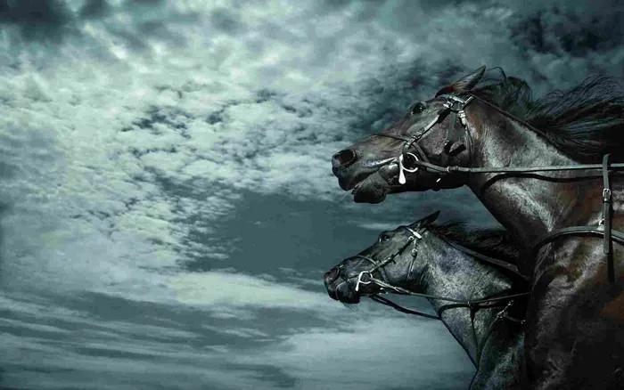 Plakát Běžící koně