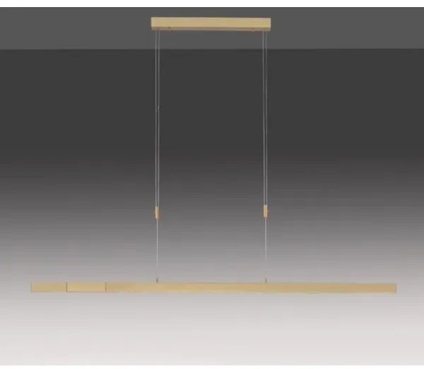 Paul Neuhaus 2568-60 - LED Stmívatelný lustr na lanku ADRIANA LED/14W/230V mosaz