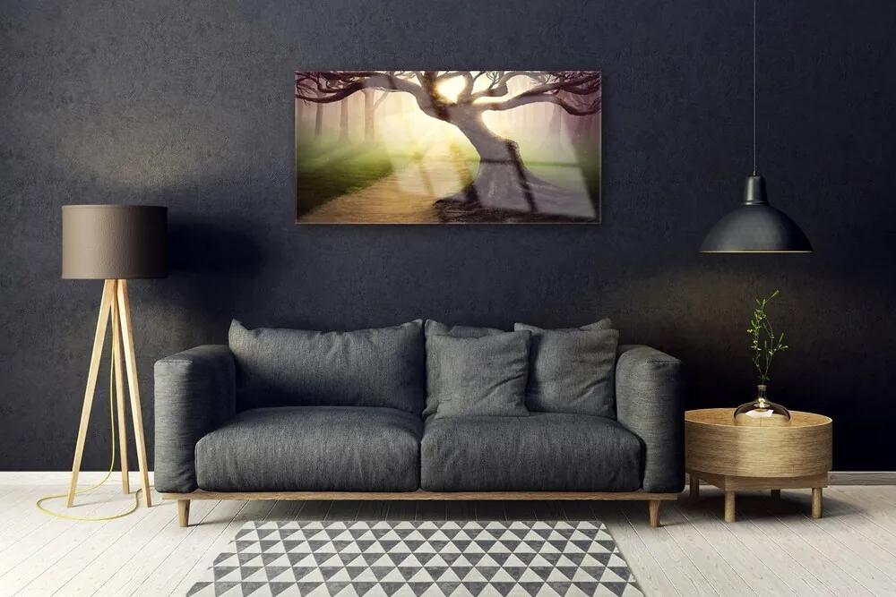 Plexisklo-obraz Strom Paprsky Slunce 100x50 cm