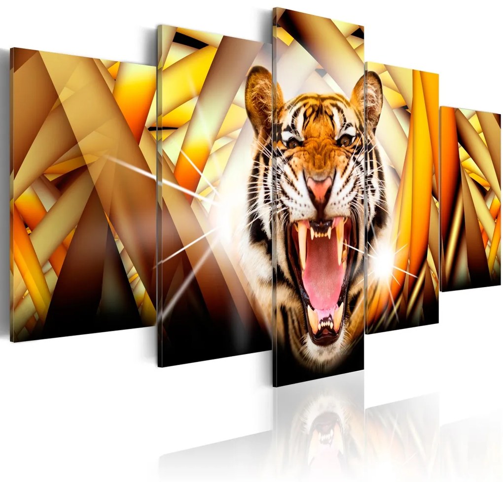 Obraz tygr + háčky a hřebíčky ZDARMA Velikost (šířka x výška): 200x100 cm