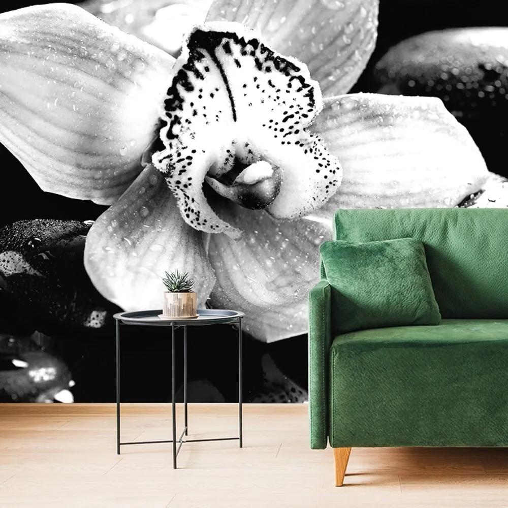 Samolepící fototapeta černobílá exotická orchidej - 300x200 cm