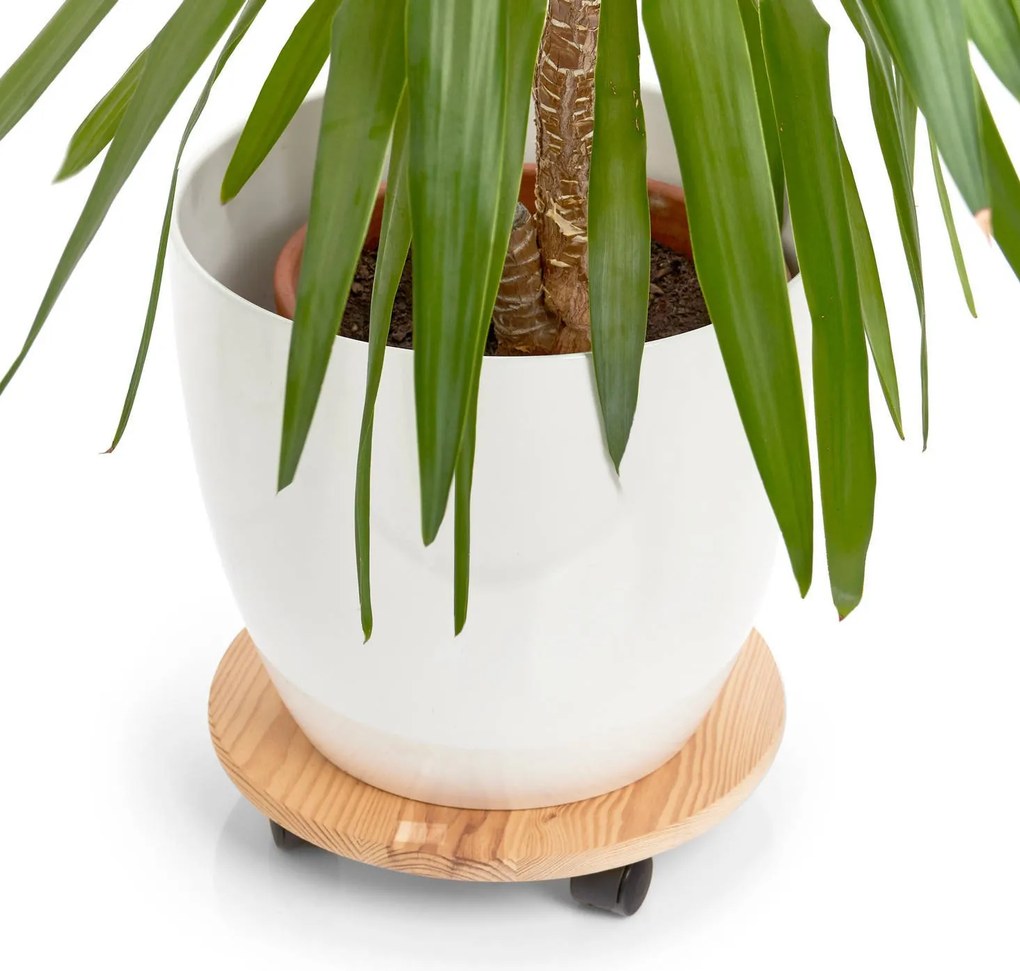 Stojan pod květináč, okrągła, Ø35 cm, ZELLER