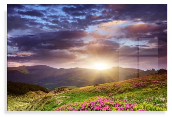 Skleněný obraz 90x60 - Východ slunce nad rozkvetlou loukou (EXTRA - s vyvrtanými dírami) - Sablo.cz
