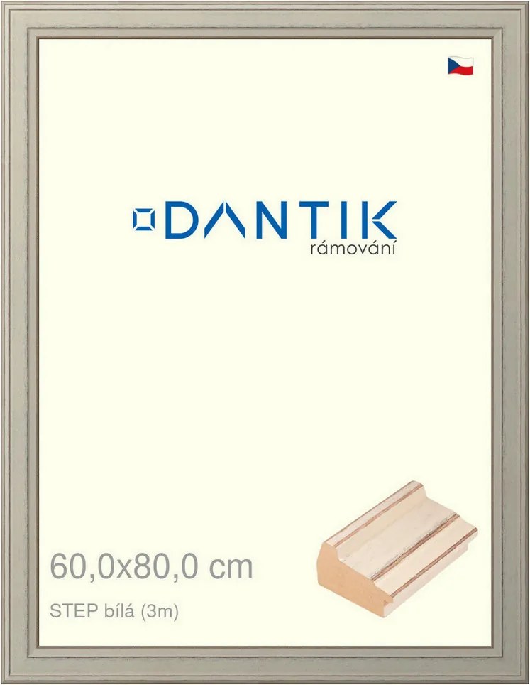 DANTIK rámeček 60x80 | STEP bílá (Plexi Čiré)