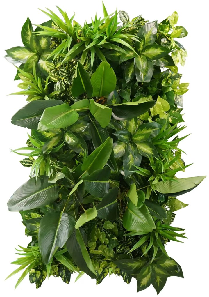 Vertical garden Tropical Freshness