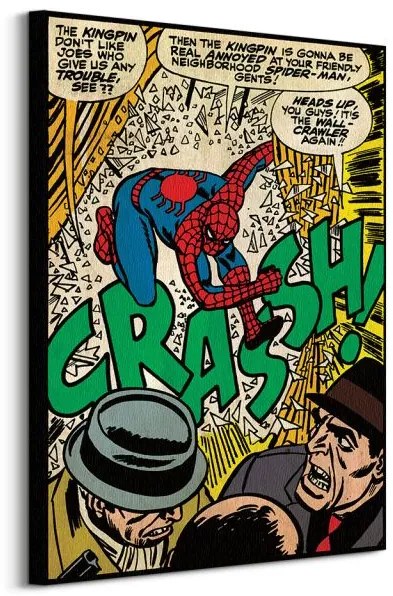 Obraz na plátně Marvel Spiderman (Crash) 60x80cm WDC90941