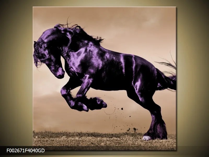 Obraz fialového koně  (), 40 dalších rozměrů