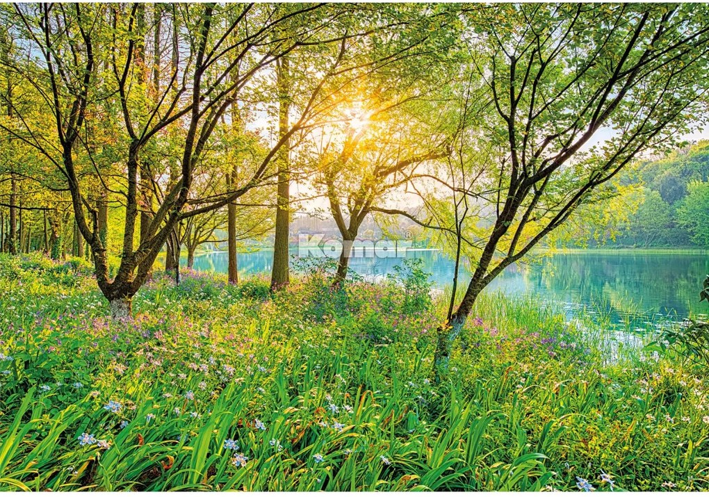 Komar Papírová fototapeta Spring Lake, 368 x 254 cm