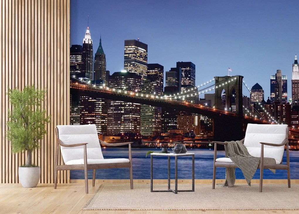 Fototapeta na zed' Výhled na Brooklynský Most | 360 x 254 cm | DFTS0107