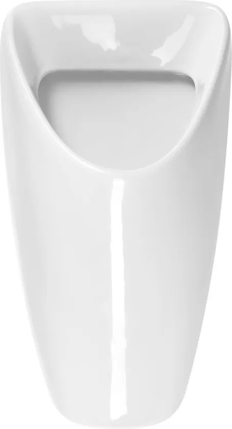 CERASTYLE CERASTYLE, SCHWARN keramický urinál, s horním přívodem vody, bílá, 201.702.4