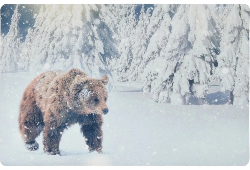 Rohožka Medvěd, 38 x 58 cm