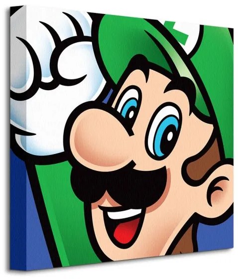 Art Group Obraz na plátně Nintendo Super Mario (Luigi) 40x40cm