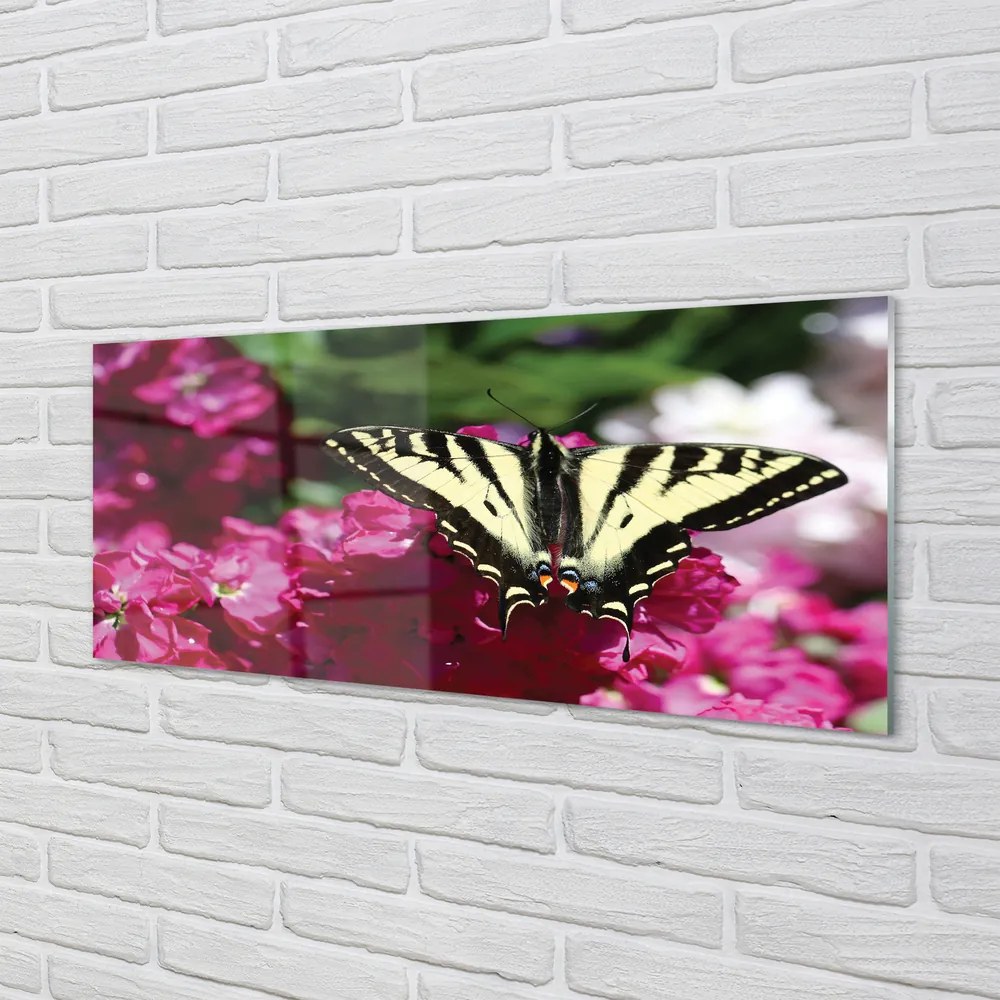 akrylový obraz květiny motýl 120x60 cm