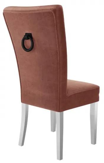 Čalouněná jídelní židle ST67 + klepadlo, Barva:: černá, Barva: bílý polomatný, Potah: Magic Velvet 2217