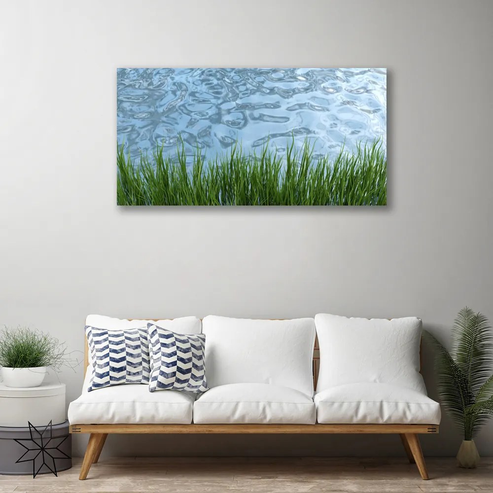 Obraz na plátně Tráva Voda Příroda 120x60 cm