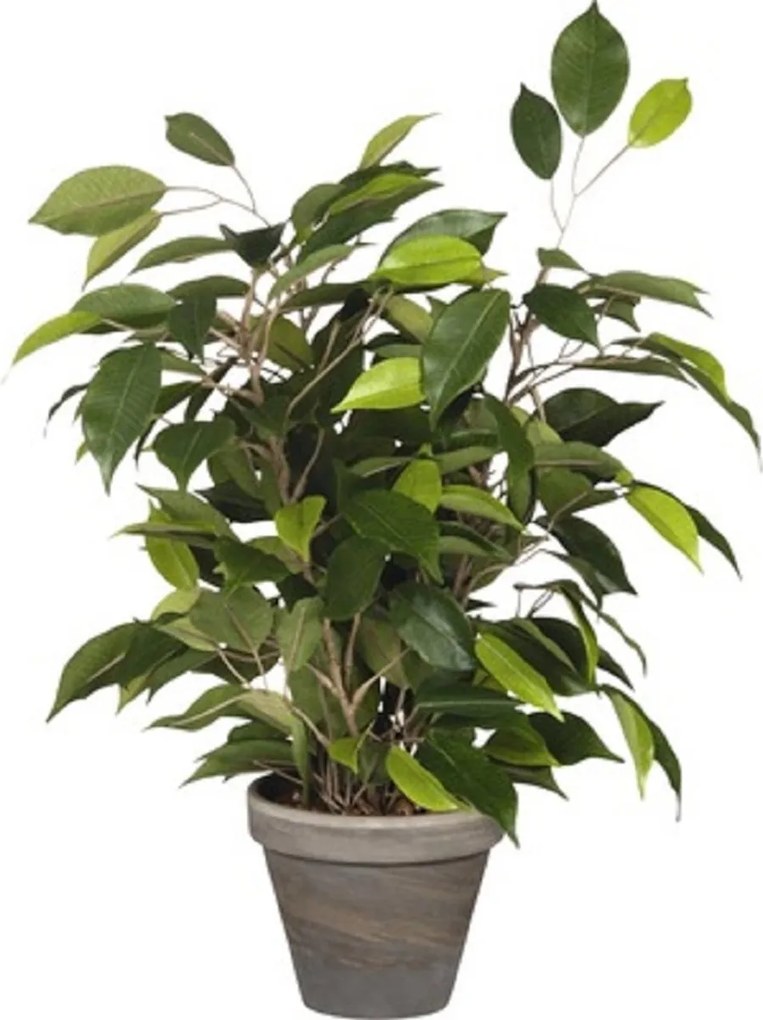 Mica Decorations Umělá květina Ficus Natasaja 40 cm