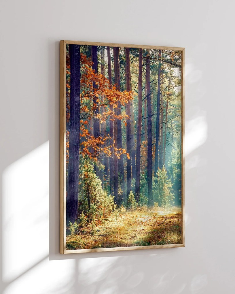 Oboustranný plakát Tichá Chatka / Podzimní Les | 30 x 42 cm | DP351313