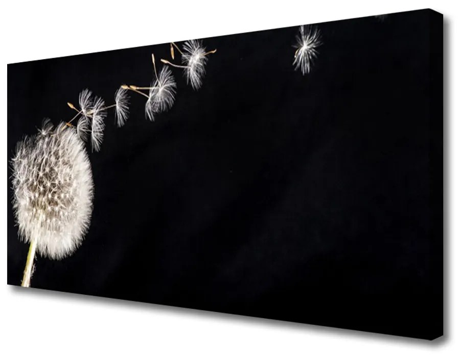 Obraz na plátně Pampeliška Rostlina 100x50 cm