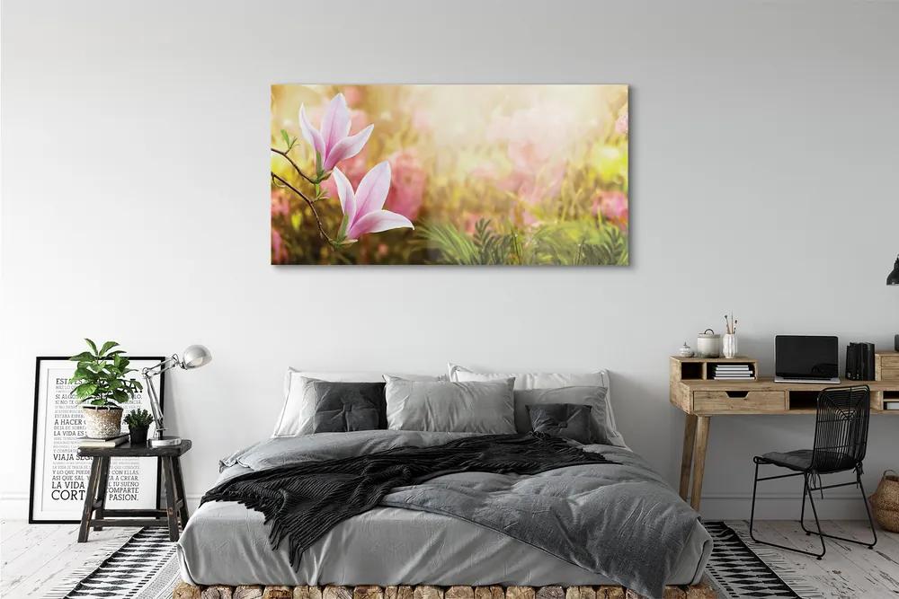 akrylový obraz Magnolie strom slunce 140x70 cm