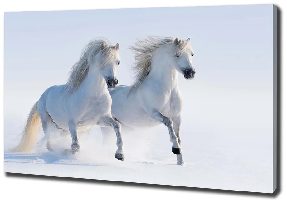 Wallmuralia Foto obraz na plátně do obýváku Dva koně ve sněhu 100x70 cm