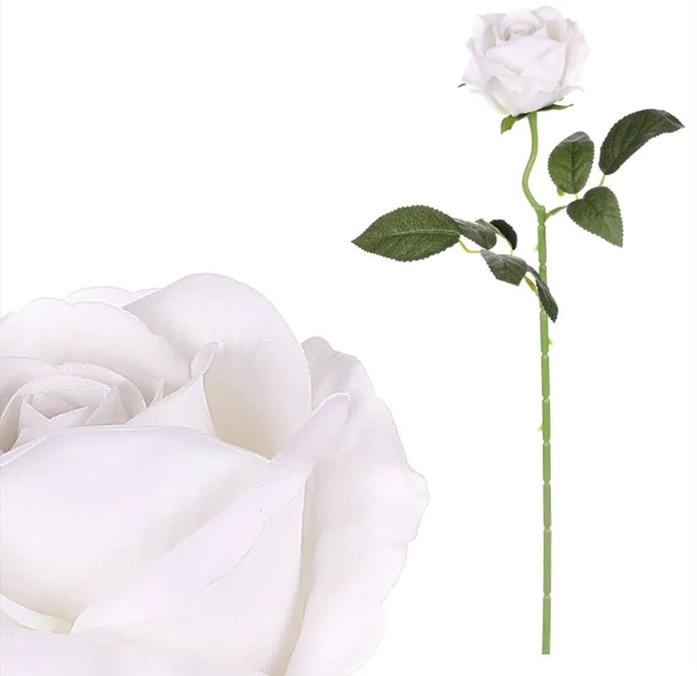Růže KN6123 Bílá