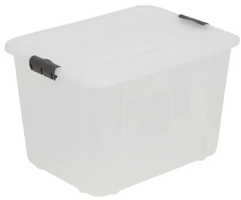 Box Velur 30l transparentní