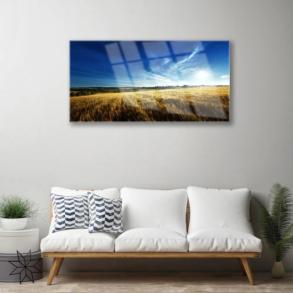 Obraz na skle Pole Obilí Slunce Krajina 125x50 cm