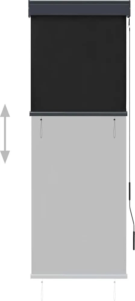 Venkovní roleta 60 x 250 cm antracitová 145946