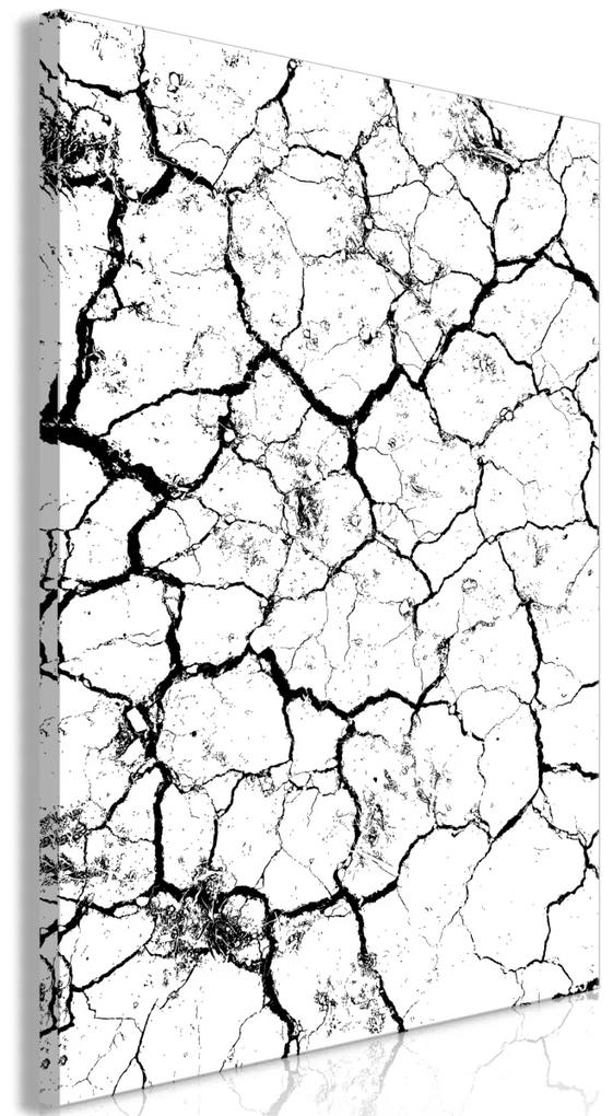 Obraz - Cracked Earth (1 Part) Vertical