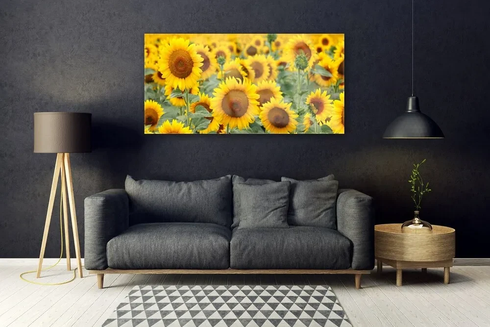 akrylový obraz Slunečnice Rostlina Příroda 120x60 cm | BIANO
