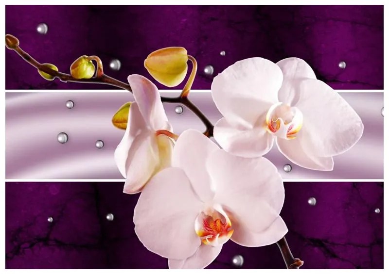 Obraz jemných orchidejí (100x70 cm), 40 dalších rozměrů